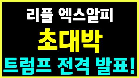 리플 엑스알피 드디어 Xrp 전략 비축자산 채택하라 지시했다 Youtube