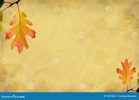 Oak Leaf Background Stock Image Image Of Antique Landscape 7077285