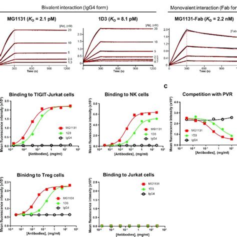 Cell Based Binding Assay And Competition Assay Download Scientific