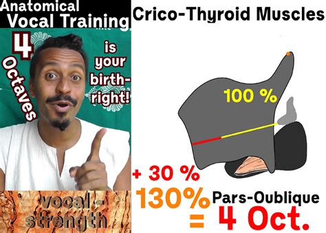 4 Octaves Of Vocal Range With This Muscle 13