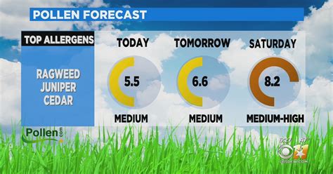 Allergy Sufferers Get Ready Pollen Count Expected To Jump As We