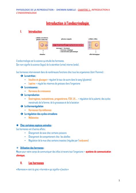 Cours Endocrinologie Partie 1 Warning TT Undefined Function 32 L