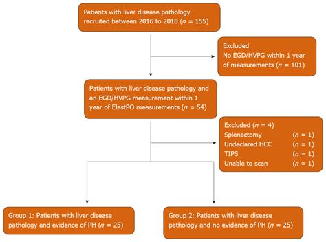 Flow Chart Displaying The Selection Of Patients Included In The Final