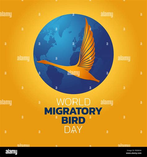 World Migratory Bird Day Vector Illustration Stock Vector Image And Art