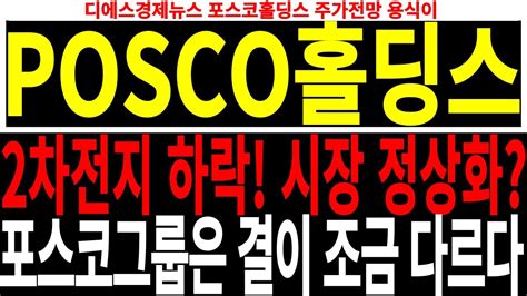 Posco홀딩스 주가전망 2차전지 하락 시장 정상화 포스코그룹은 결이 조금 다르다 Feat디에스경제뉴스 포스코홀딩스 주가