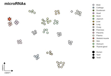 R Change Color Of Dot Border Inside Plot Stack Overflow