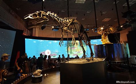 National Museum Of Nature And Science Tokyo Natural History Of Japan