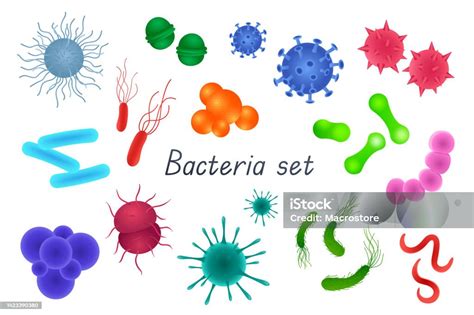 박테리아와 세균 3d 현실적인 세트 다양한 유형의 현미경 생물 미생물 바이러스 감염 및 질병 세포 간균 및 기타 격리 된 요소 번들 벡터 일러스트 레이 션 박테리아에 대한