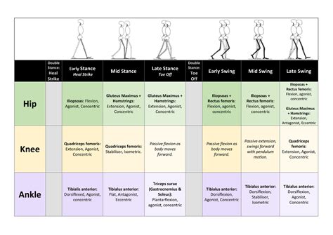 Running Gait Types At Jenny Collier Blog