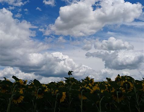 Maksym Kostiuk On Behance