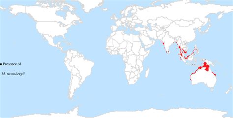 Figure 34 From Macrobrachium Rosenbergii De Man 1879 The Antennal Gland And The Role Of