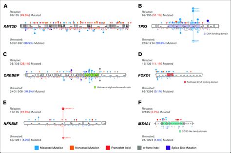 Mutation Patterns In Genes Enriched For Mutations Within The Population