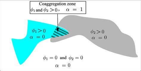 Phase Field Approach For A Multi Species System Download Scientific Diagram