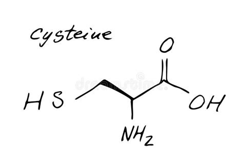 Cysteine Chemistry Molecule Formula Hand Drawn Imitation Stock Illustration Illustration Of