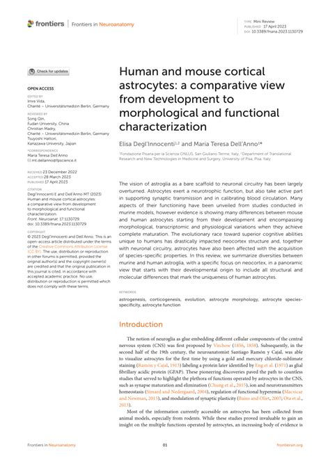 Pdf Human And Mouse Cortical Astrocytes A Comparative View From Development To Morphological