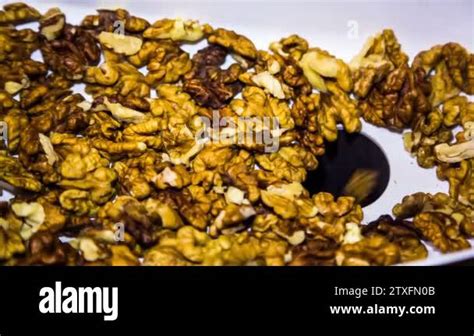 Fall Nuts Stock Videos And Footage Hd And 4k Video Clips Alamy