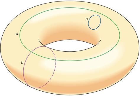 Latex中特殊符号收集 Yu Xuans Blog