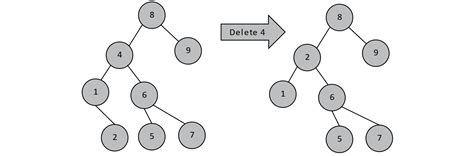 Search Trees An Open Guide To Data Structures And Algorithms