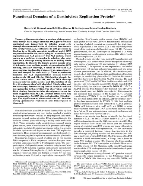 Pdf Functional Domains Of A Geminivirus Replication Protein