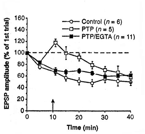 7 The Induction Of Post Tetanic Potentiation Ptp And Its Dependency Download Scientific