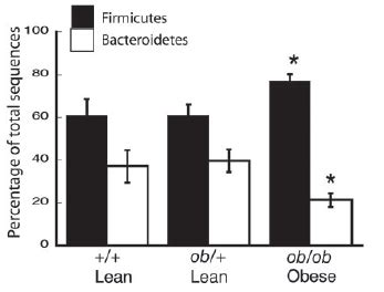 Microbiology Host Microbe Interactions Flashcards Quizlet