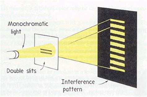 Lecture 2 Wave Interference Flashcards Quizlet