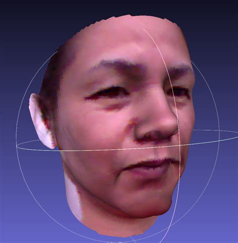 3dmm fitting result does not look like the input image · issue 73 · yfeng95 face3d · github