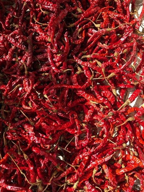 自家栽培 乾燥唐辛子 メルカリ