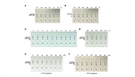 Optimization Reaction Condition Of Our Assay A B Lfd Readout Of