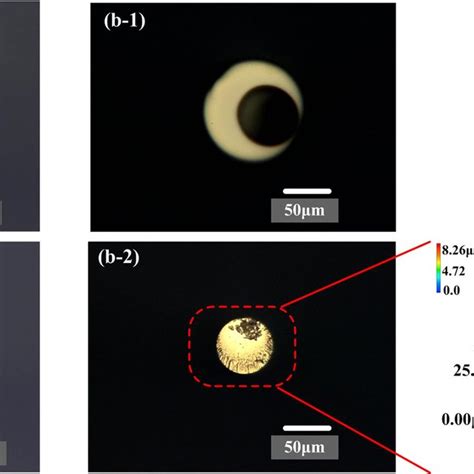 The Measured Extinction Ratios At Different Polarization Angles The Download Scientific