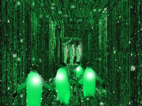 Programming Practice Medium