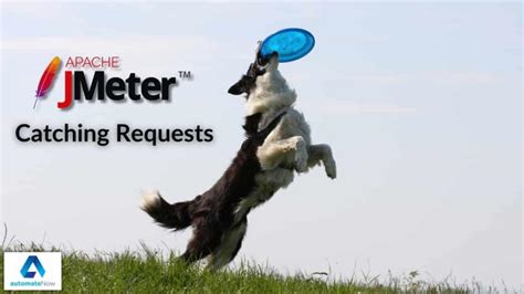 Recording Requests With Jmeters Proxy Server Automatenow 𝐌𝐚𝐫𝐜𝐨 𝐂𝐫𝐮𝐳 𝐎𝐧𝐥𝐢𝐧𝐞 𝐂𝐨𝐚𝐜𝐡𝐢𝐧𝐠