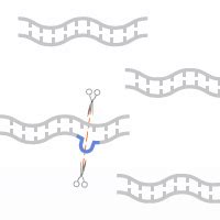 Guide It Mutation Detection Kit