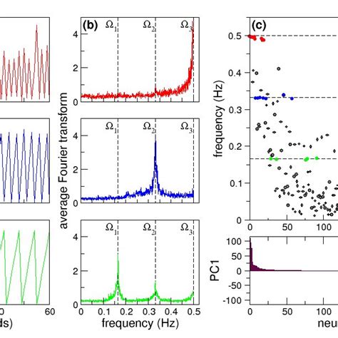 Neuronal Dynamics And Frequency Synchronization A Dynamics Of Three