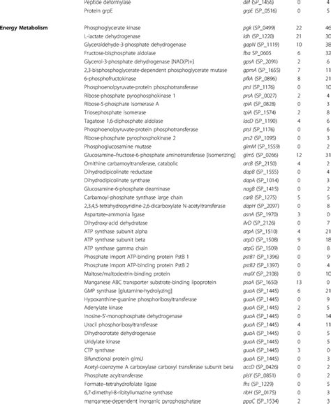 Comparison Of Protein Expression Profiles During Biofilm And Planktonic