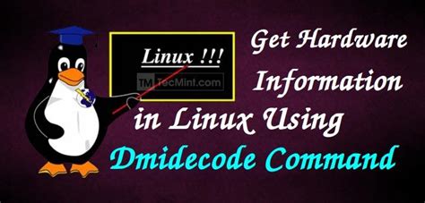 如何在 Linux 上使用 Dmidecode 命令获取硬件信息