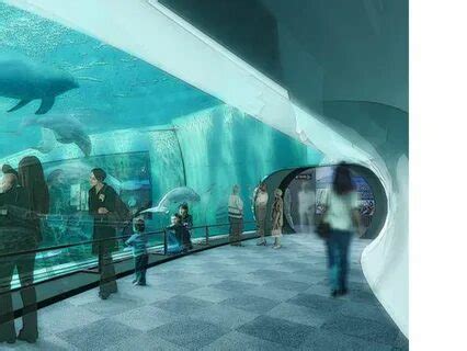 Genova Aquarium Yandex Görselde 1 Bin Görsel Bulundu