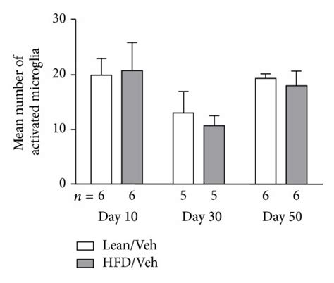 Effects Of The Hfd Stz Model On Iba 1 And Gfap Staining In The Spinal