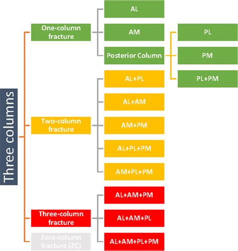 The Subdivision Of Tpfs By Tcc According To The Three Column