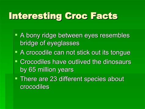 Crocodiles Ppt