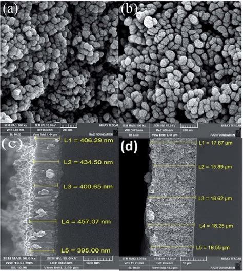 FE SEM Images From Various Samples Of A TiO 2 FTO B AFe 2 O 3 Download Scientific Diagram