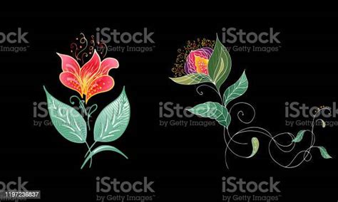 여름의 다채로운 열대 꽃 2 개 세트 검은 배경에 고립 된 꽃 식물 꽃 세트 손으로 그린 벡터 컬렉션입니다 식물 하와이 자연입니다 열대 야자수 아이콘입니다 하와이 일러스트