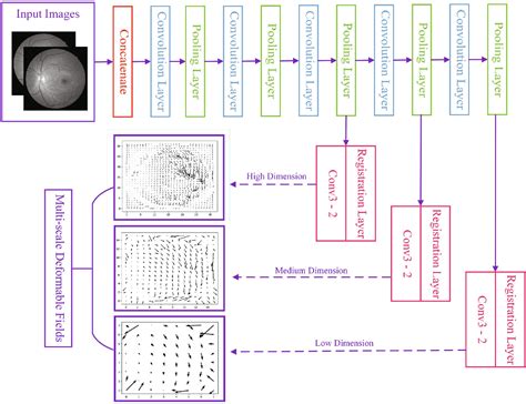 Figure 1 From Non Rigid Retinal Image Registration Using An