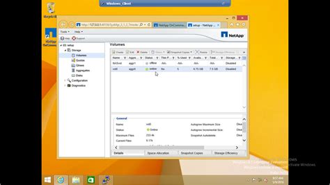 Module 3 Creation Of Aggregates And Volumes Netapp And Vmware Labs