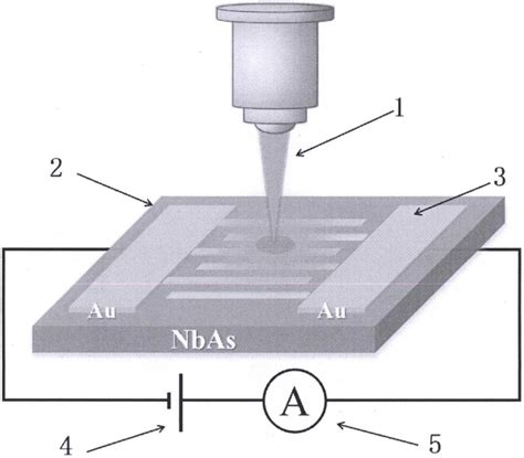 一种基于二次谐波效应增强的外尔半金属非线性光电探测器