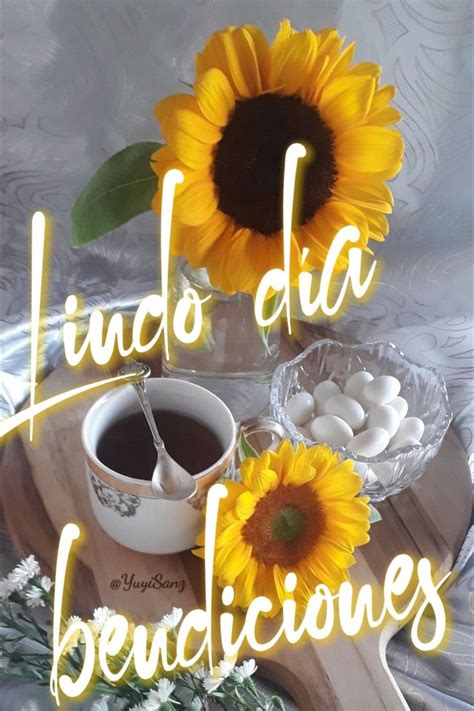 Pin De Abigail Martinez En Buenos Dias Fotografía De Girasol