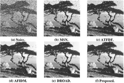 Visual Comparison Of Proposed And State Of The Art Denoising Methods On