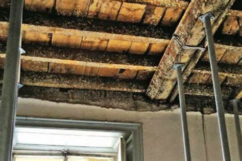 РЕМОНТ И УКРЕПВАНЕ НА ДЪРВЕН ГРЕДОРЕД Renovirai