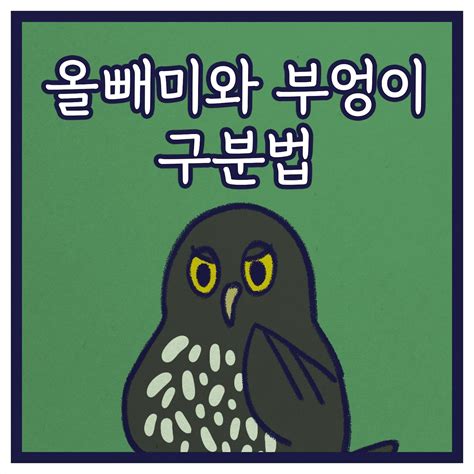 올빼미와 부엉이 구분법