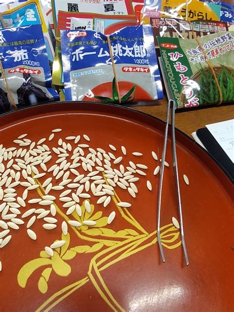 ちびちびと 大治郎農園